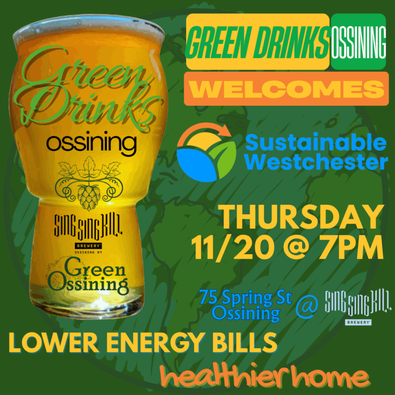 Ask the Home Energy Advisor - 20th November 2025 - Sustainable Westchester
